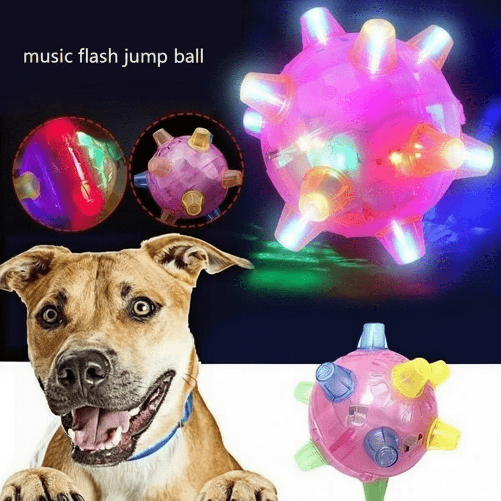 Interactive LED Jumping Dog Ball Toy for Active Play – LICHTZOONE